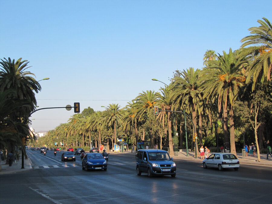Tree-lined Paseo del Parque promenade in Malaga with tropical plants