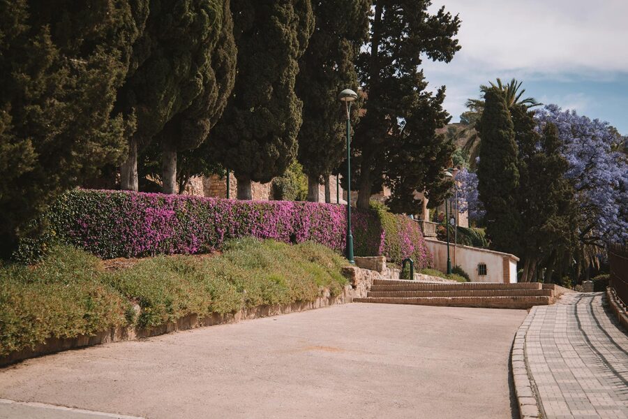 Tree-lined path with flowering hedges in Paseo del Parque, Malaga