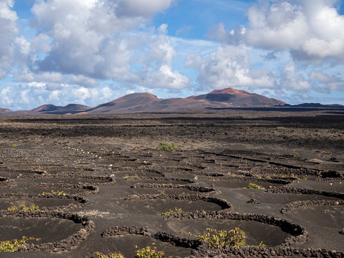 Aerial view of volcanic vineyards in Lanzarote Spain showing unique circular growing pits