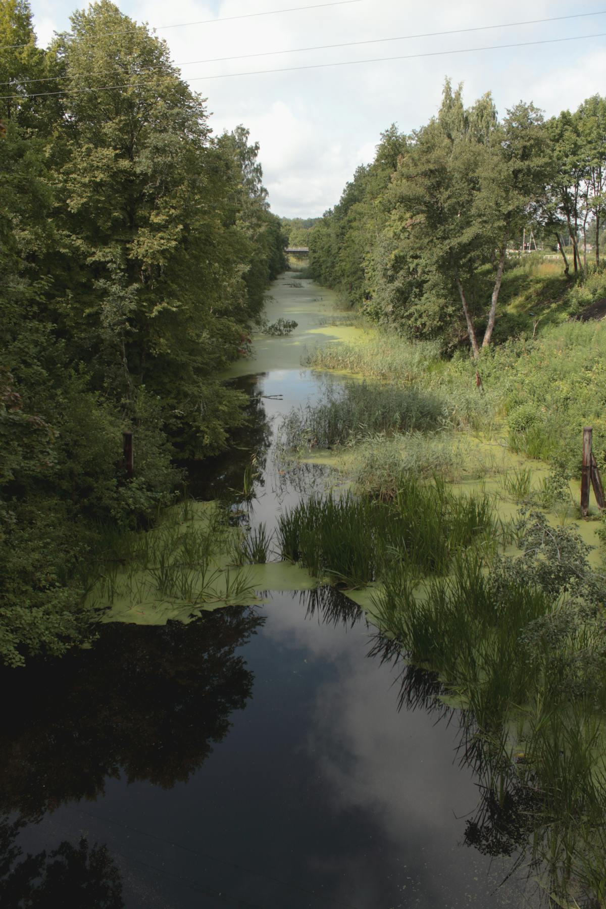 Dresden Elbe riverfront in evening light