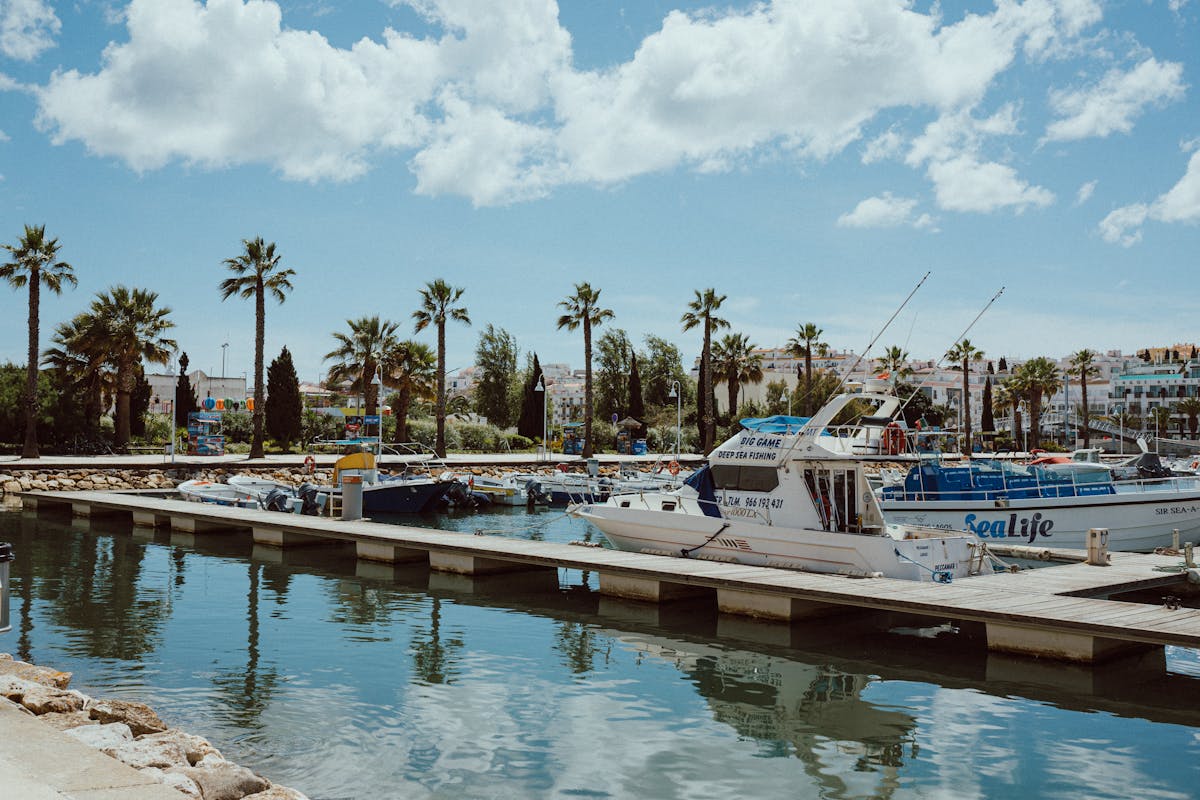 Tranquil marina in Faro with docked boats and palm trees under blue skies