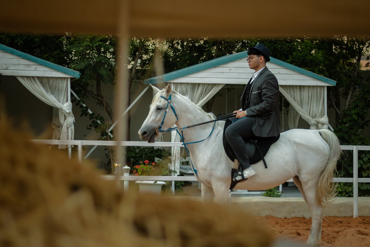 Elegant rider on a white horse outdoors at an equestrian facility