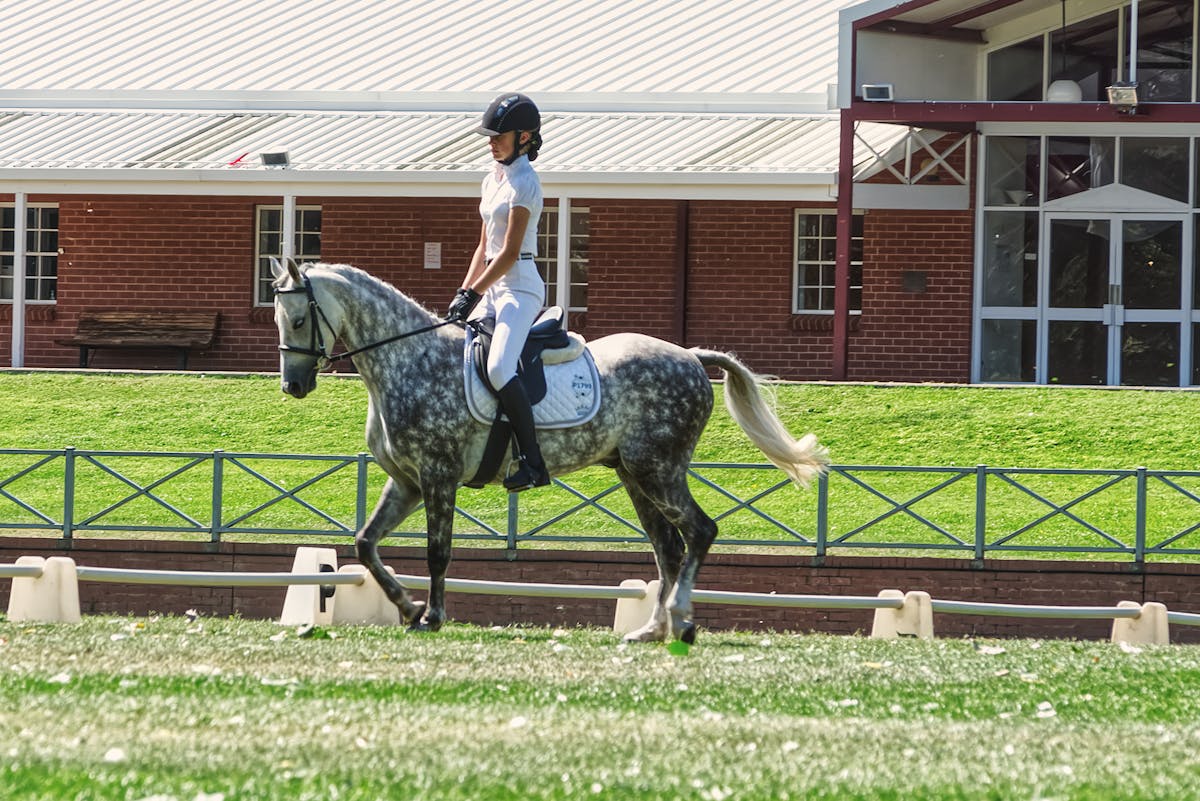 A skilled rider performs dressage on a grey horse at an equestrian facility