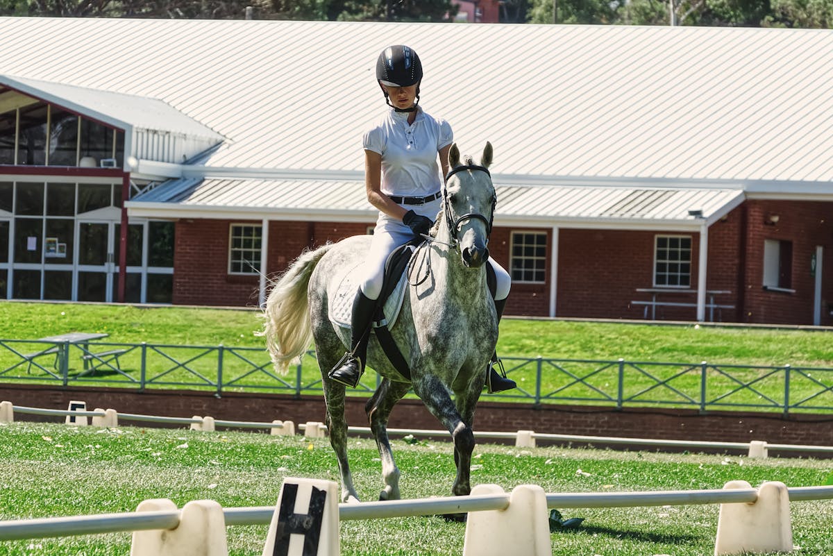 Equestrian rider in helmet and uniform performing outdoors on a grey horse near a stable