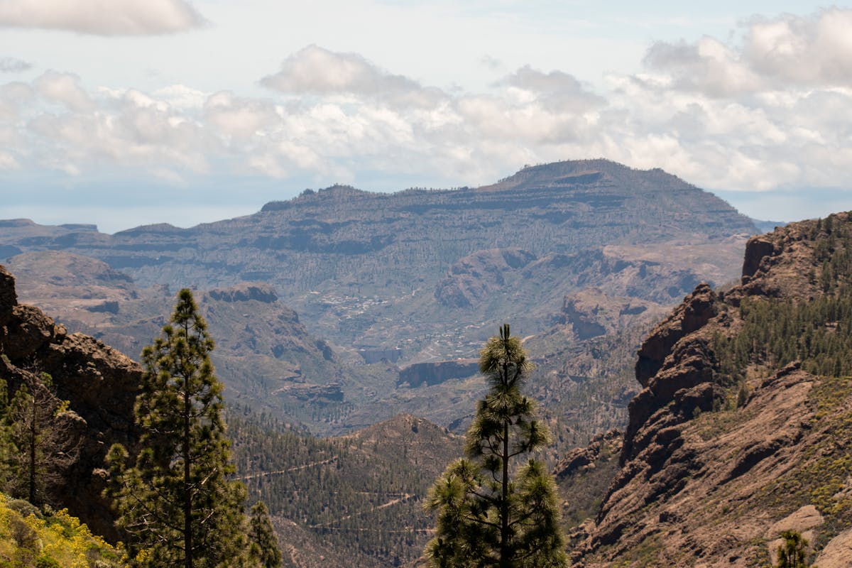 Lush green mountains and forests in the interior of Gran Canaria