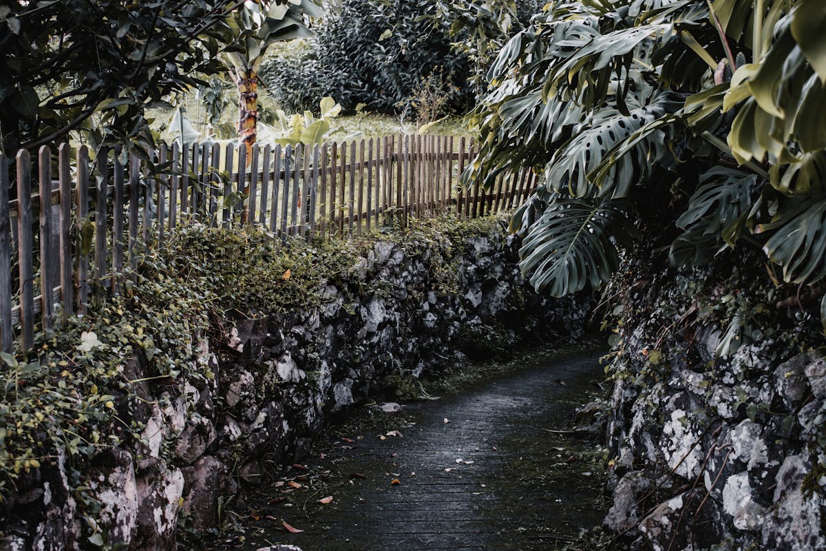 Serene garden pathway lined with lush green tropical plants