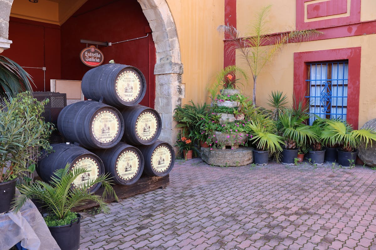 A rustic courtyard with stacked wine barrels and lush greenery near Jerez