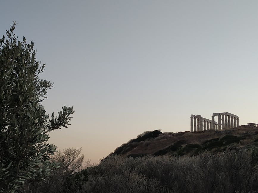 Ancient Temple of Poseidon on a hill at sunset with olive trees in the foreground