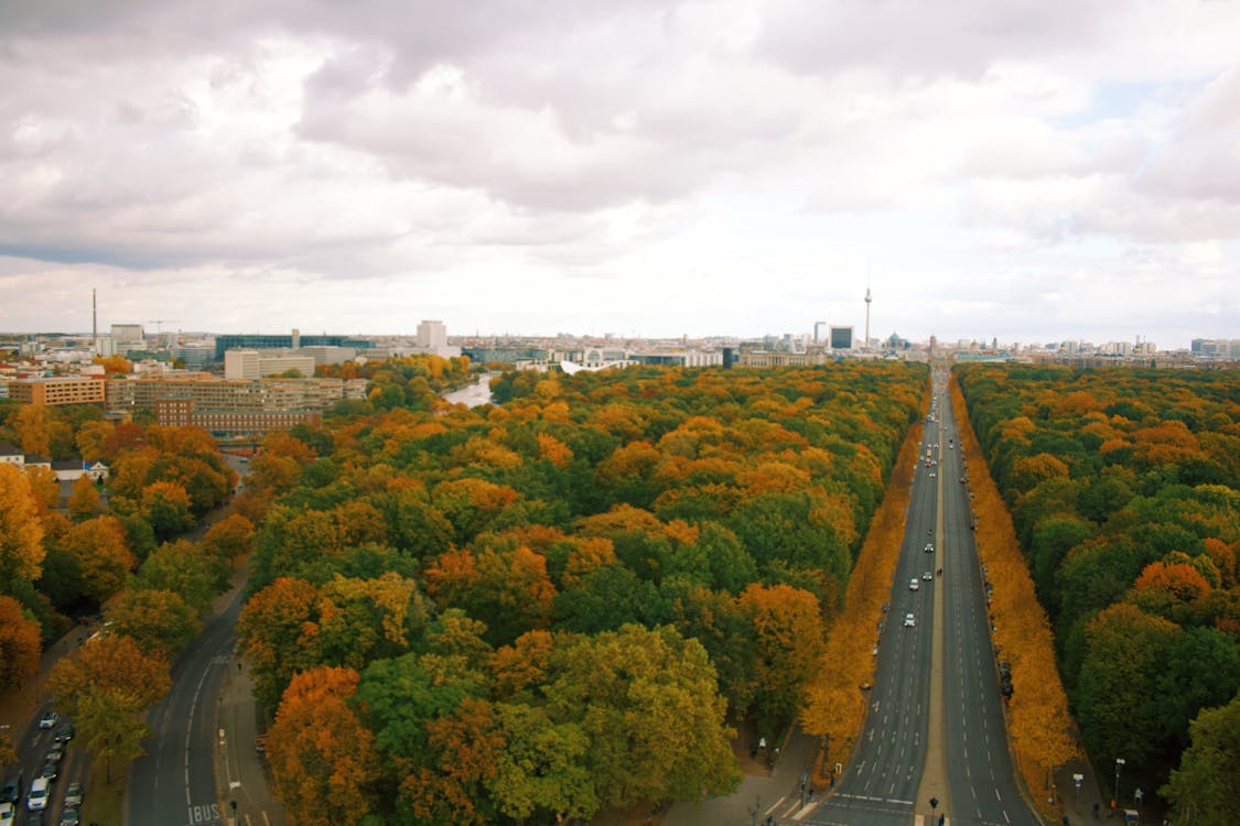 Aerial view of Tiergarten park with Berlin skyline autumn foliage