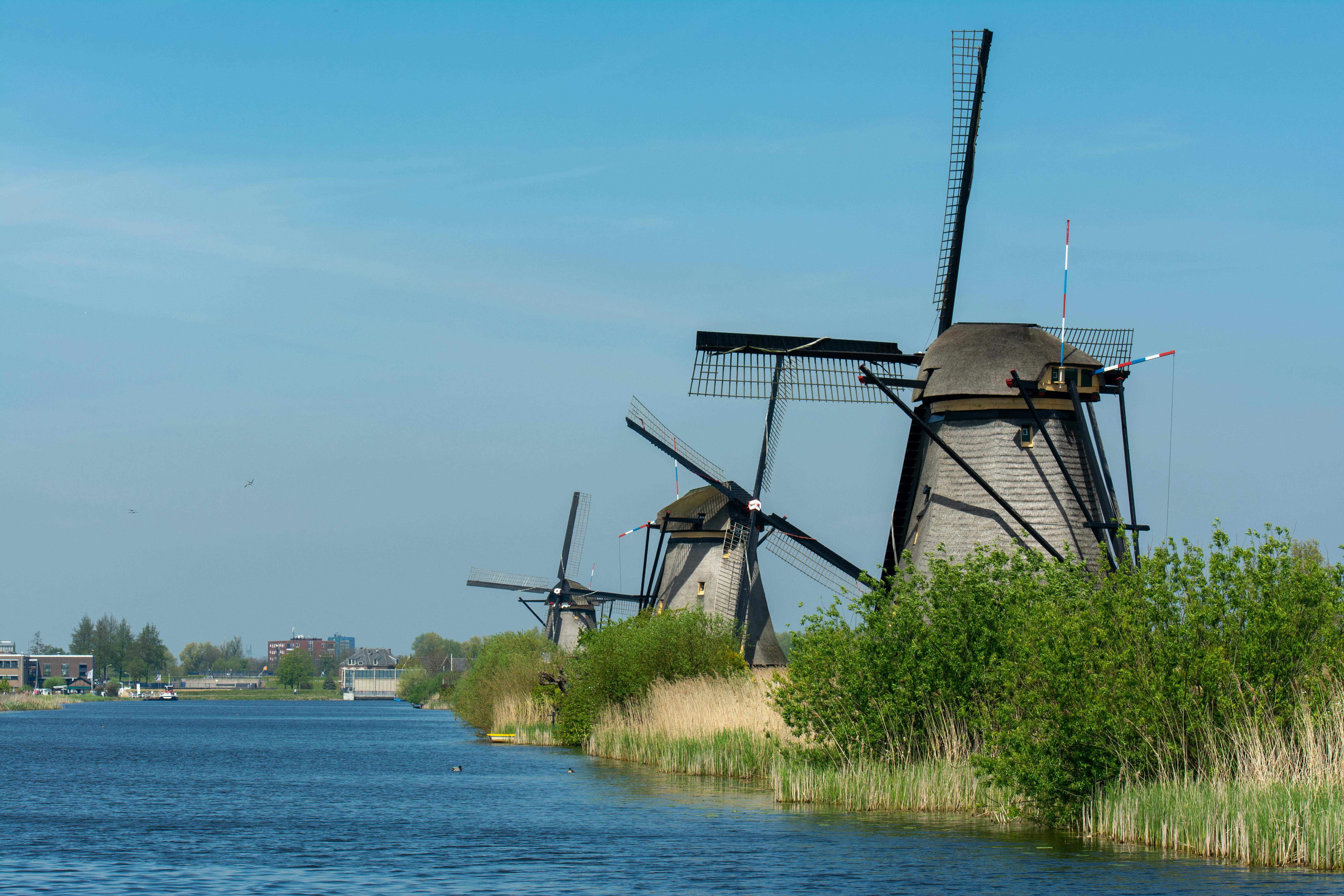 Traditional Dutch windmills lined along a canal at Kinderdijk under clear skies