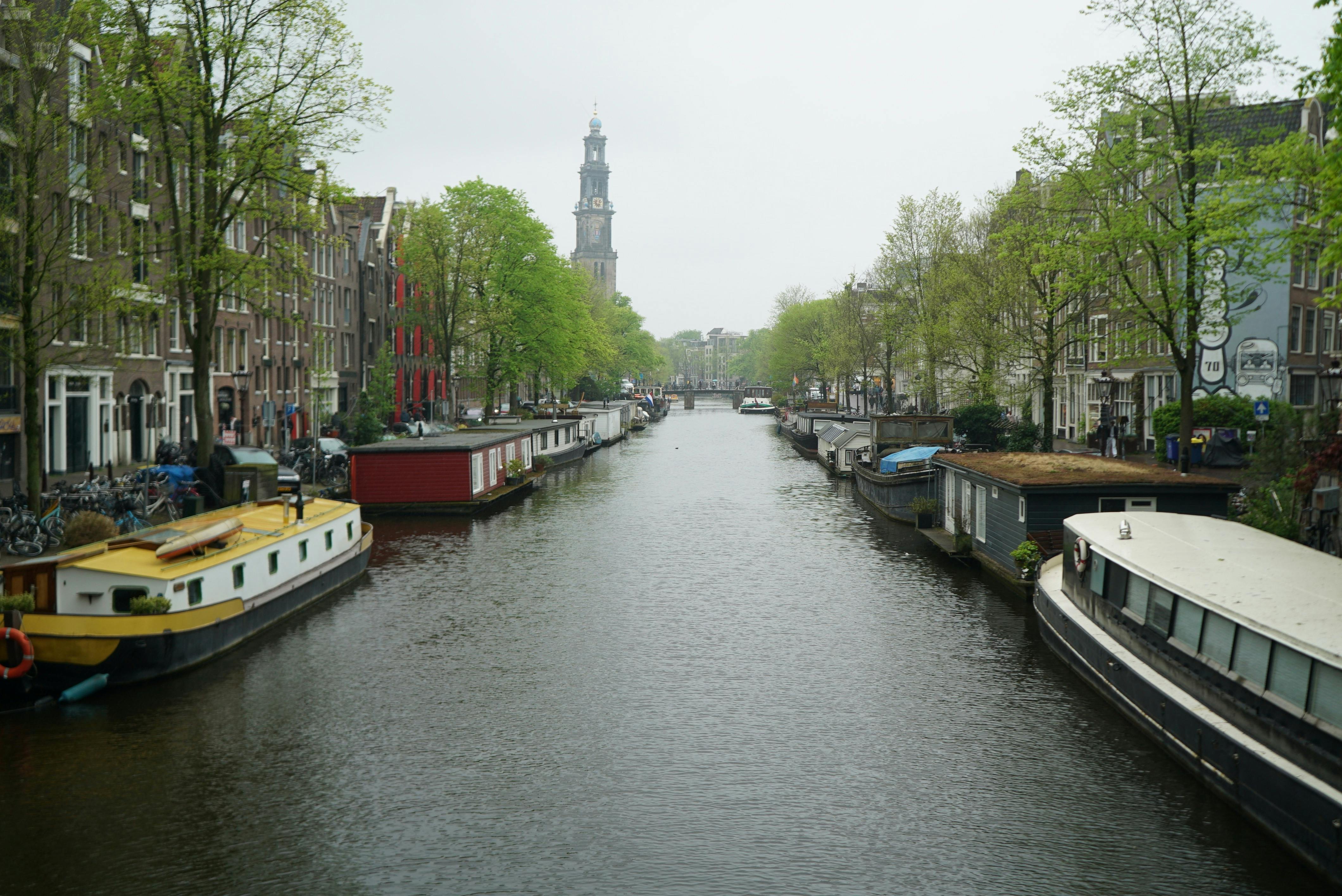Peaceful morning view of Amsterdam canal with houseboats and historic architecture
