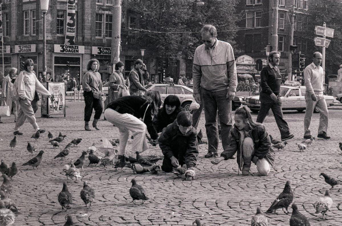 A nostalgic moment at Dam Square with people walking and pigeons flying in Amsterdam