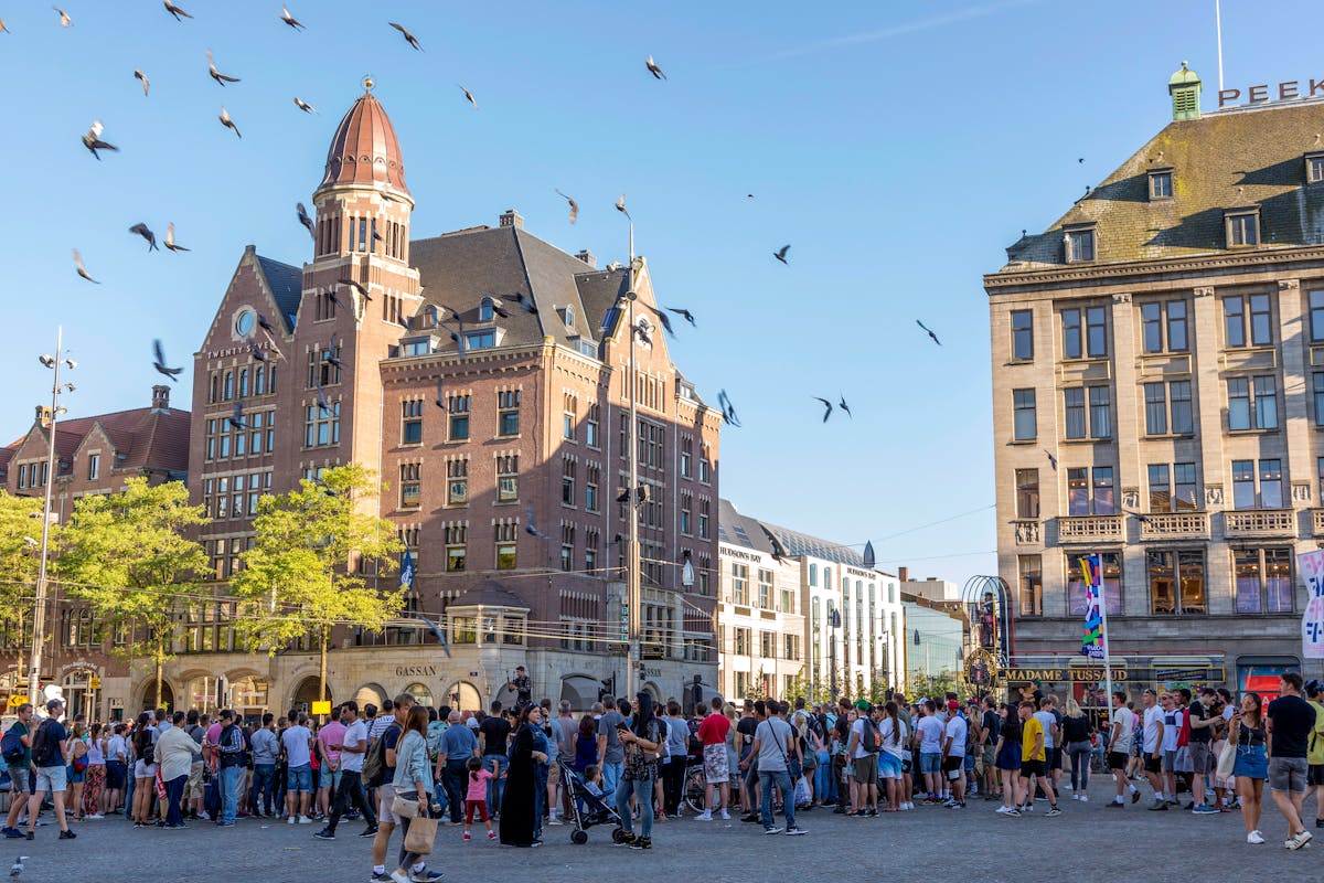 Crowds gathering at Dam Square Amsterdam with historic buildings and pigeons flying under a clear blue sky