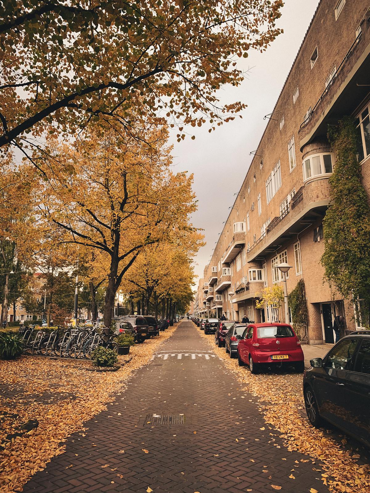 An idyllic Amsterdam street scene featuring autumn leaves and traditional Dutch architecture