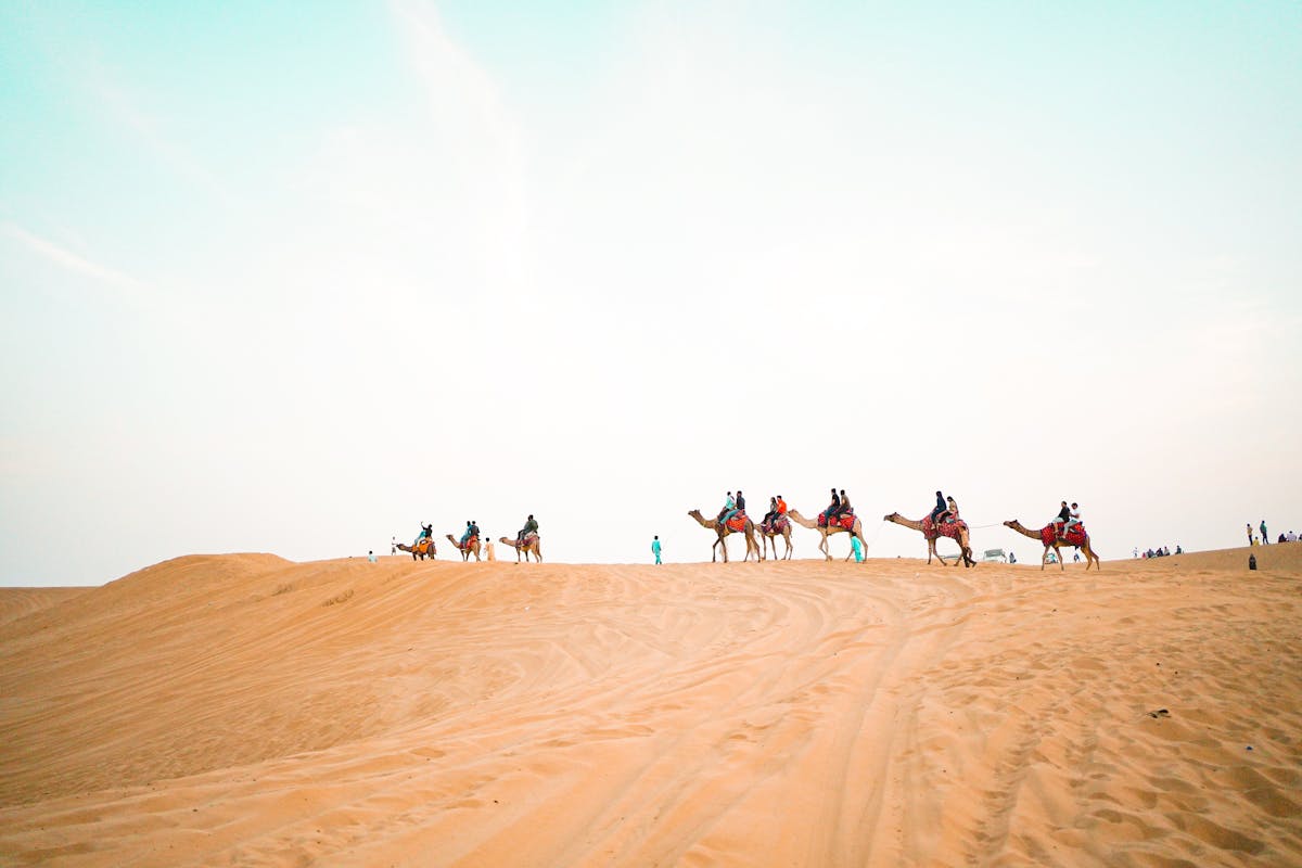 Camel caravan trekking across vast sand dunes with a colorful desert sky