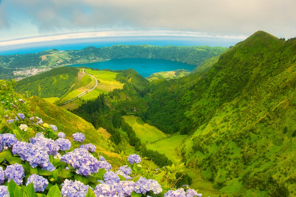 Panoramic view of Sete Cidades blue and green lakes with hydrangeas in the Azores
