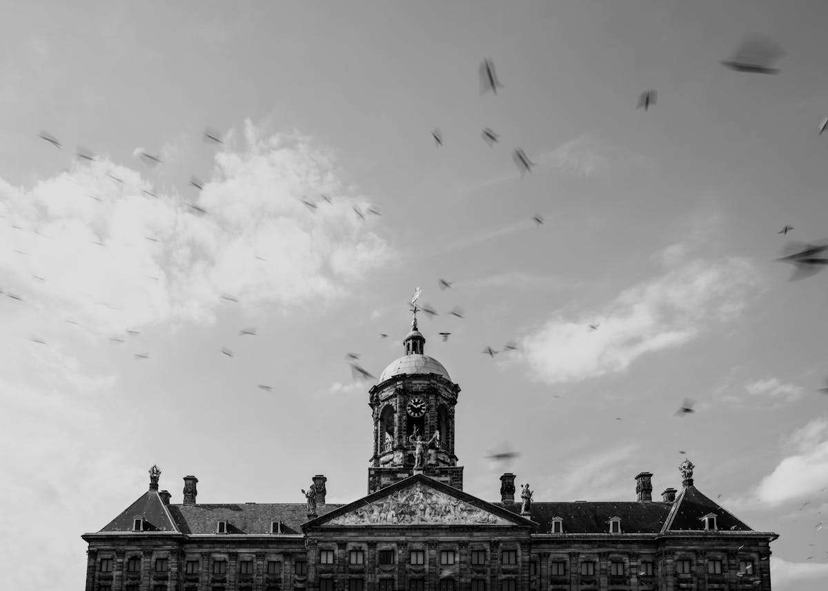 A black and white photograph of a flock of birds flying above the Royal Palace of Amsterdam