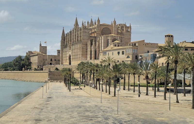 View of Palma Cathedral and the promenade with palm trees in Mallorca Spain