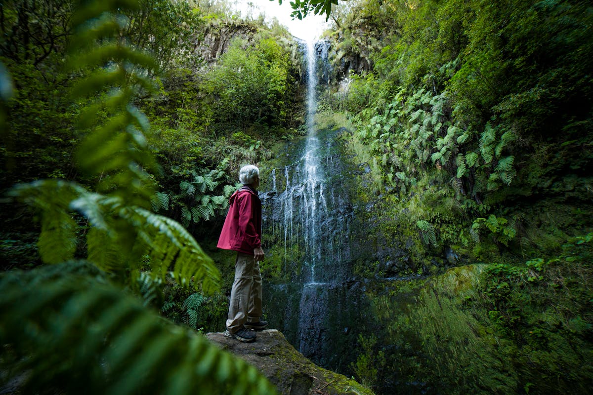 Hiker looking at a waterfall in the dense forests of Madeira island