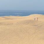 Golden sand dunes of Maspalomas with the Atlantic Ocean visible in the background