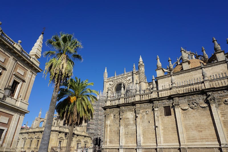 Seville Cathedral exterior with a palm tree against a clear blue sky