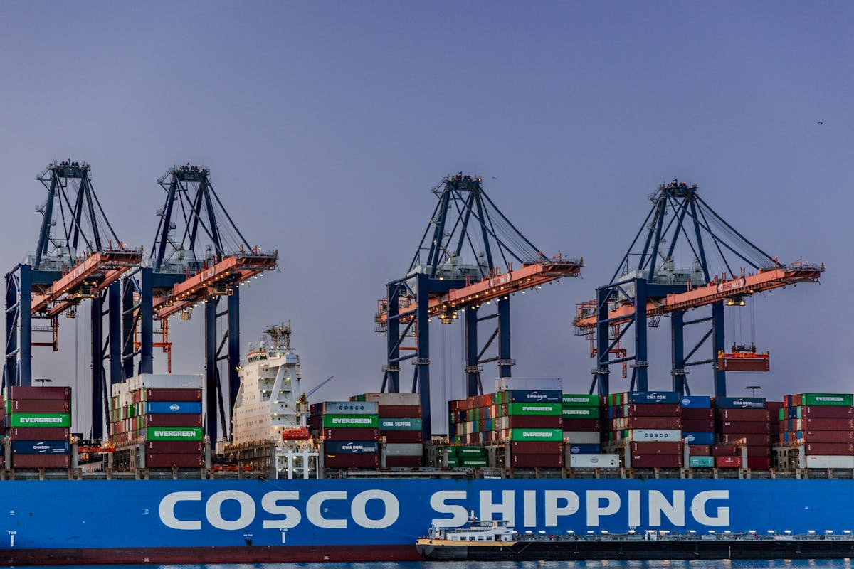 Evening view of shipping cranes and containers at the Maasvlakte terminal in Rotterdam port