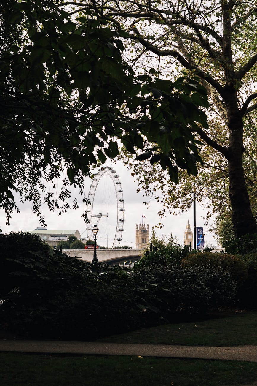 London Eye and Big Ben framed by trees