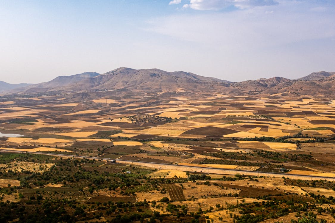 Aerial view of green farmland and rolling hills in the Azores