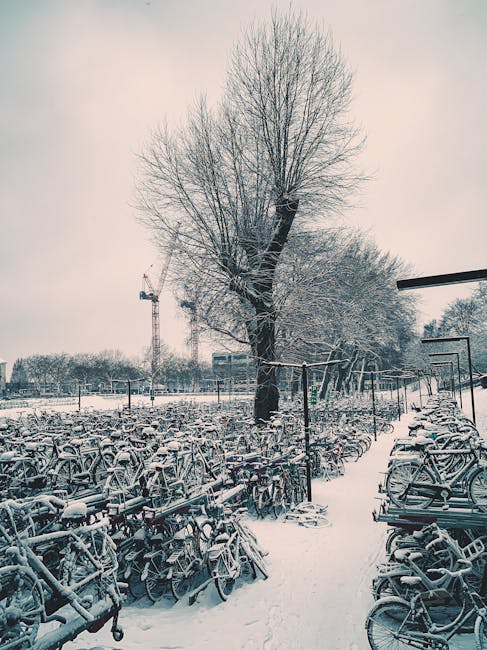 Snowy day in Amsterdam with bikes and trees blanketed in snow
