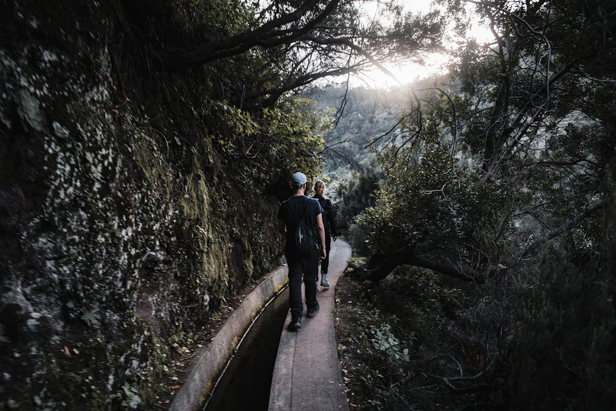 Group of hikers walking along a green levada trail in Madeira