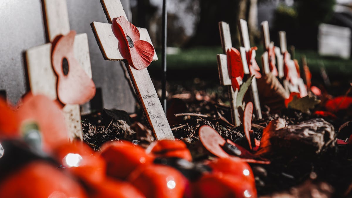 White memorial crosses with red poppies in a war cemetery