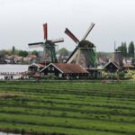 Scenic view of iconic Dutch windmills amidst lush green fields by a river in the Netherlands.