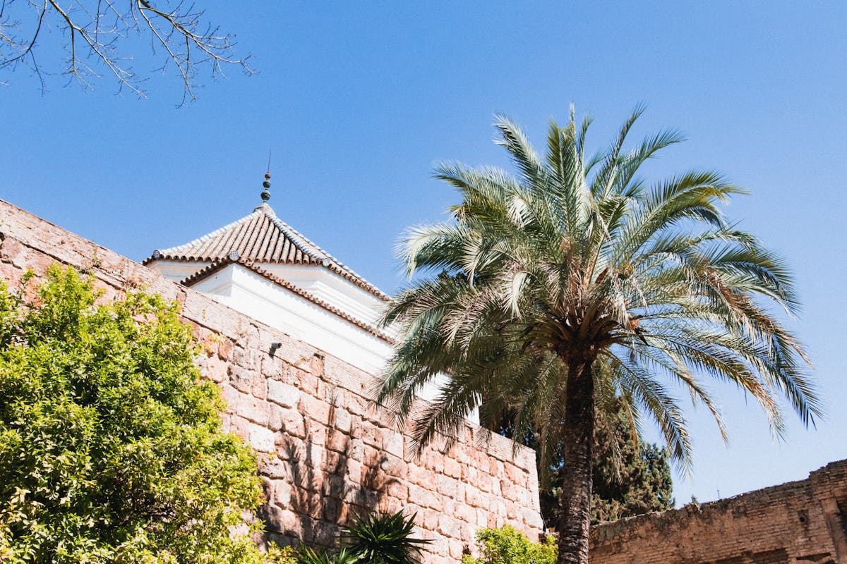 Palm trees and historic architecture in the Alcazar of Seville under a clear blue sky