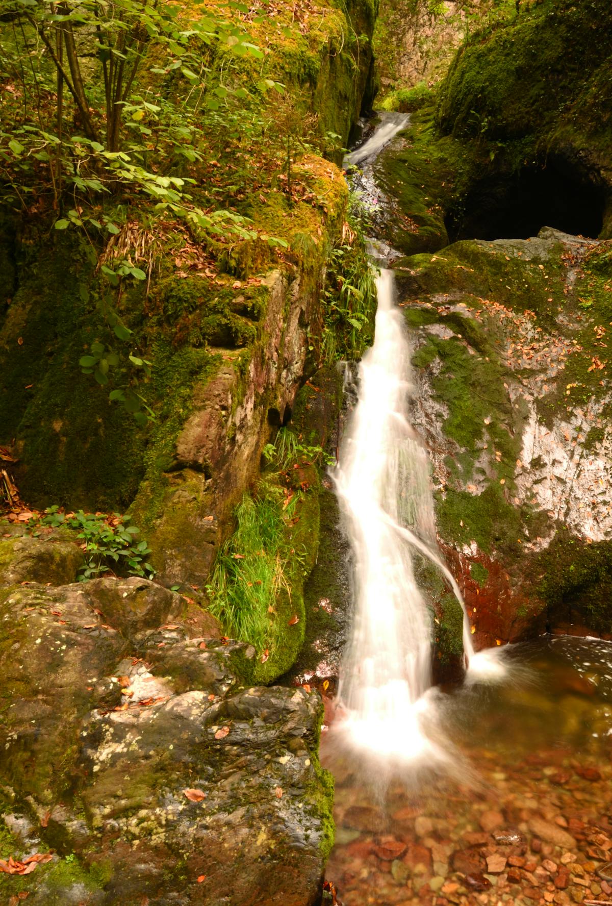 Serene waterfall flowing in lush green Ottenhofen perfect nature scene