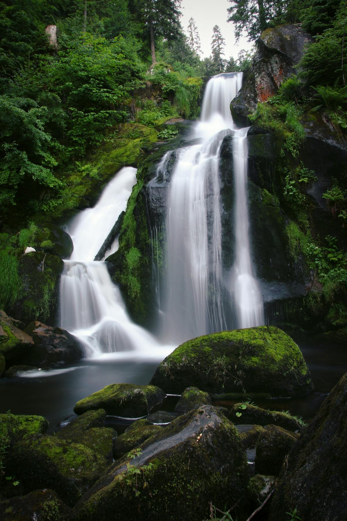 Beautiful cascade waterfall in a lush forest setting with vibrant greenery