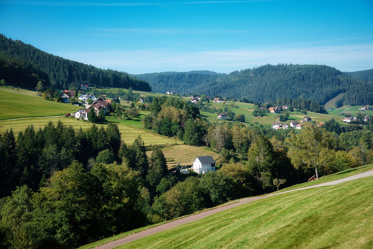 Beautiful green landscape of Baiersbronn in summer showcasing rolling hills and scattered houses