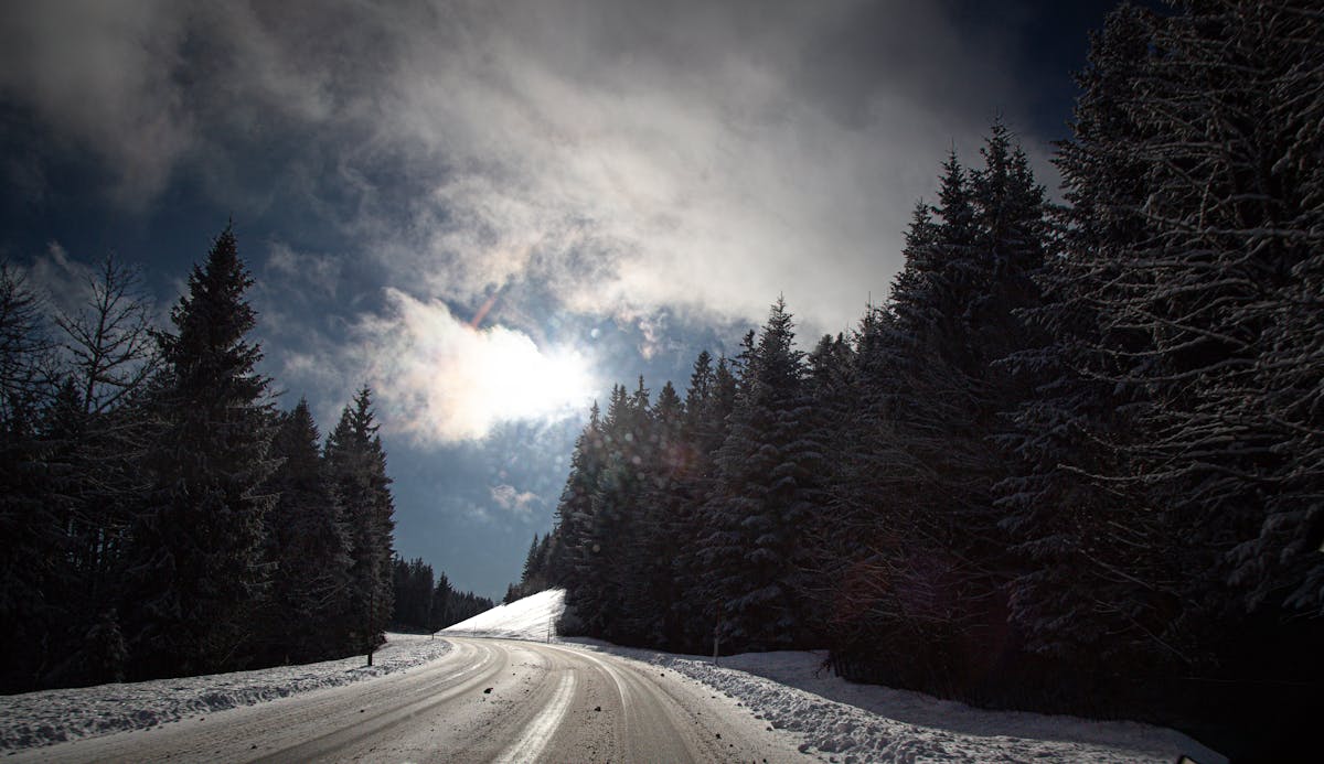 A sunlit snowy road winding through the Black Forest Germany