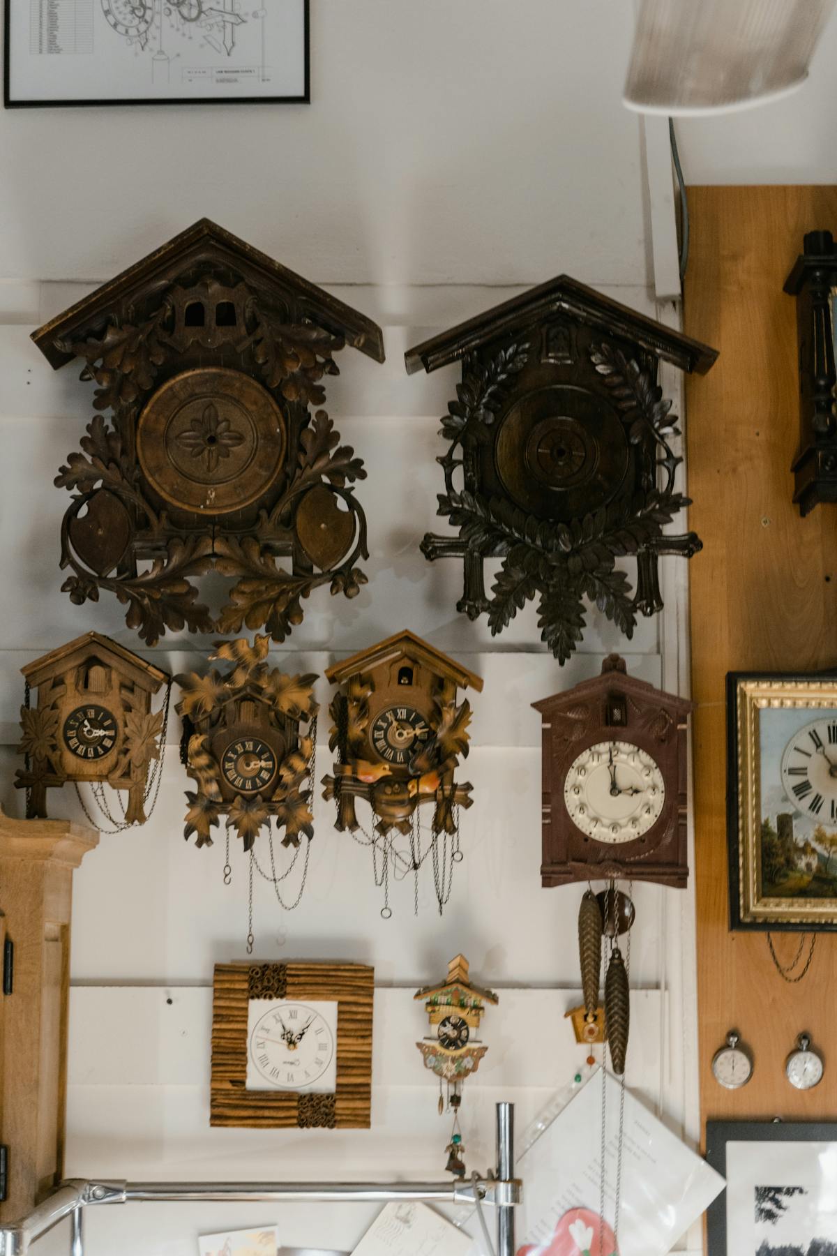 A collection of vintage cuckoo clocks mounted on a wooden wall showcasing intricate designs