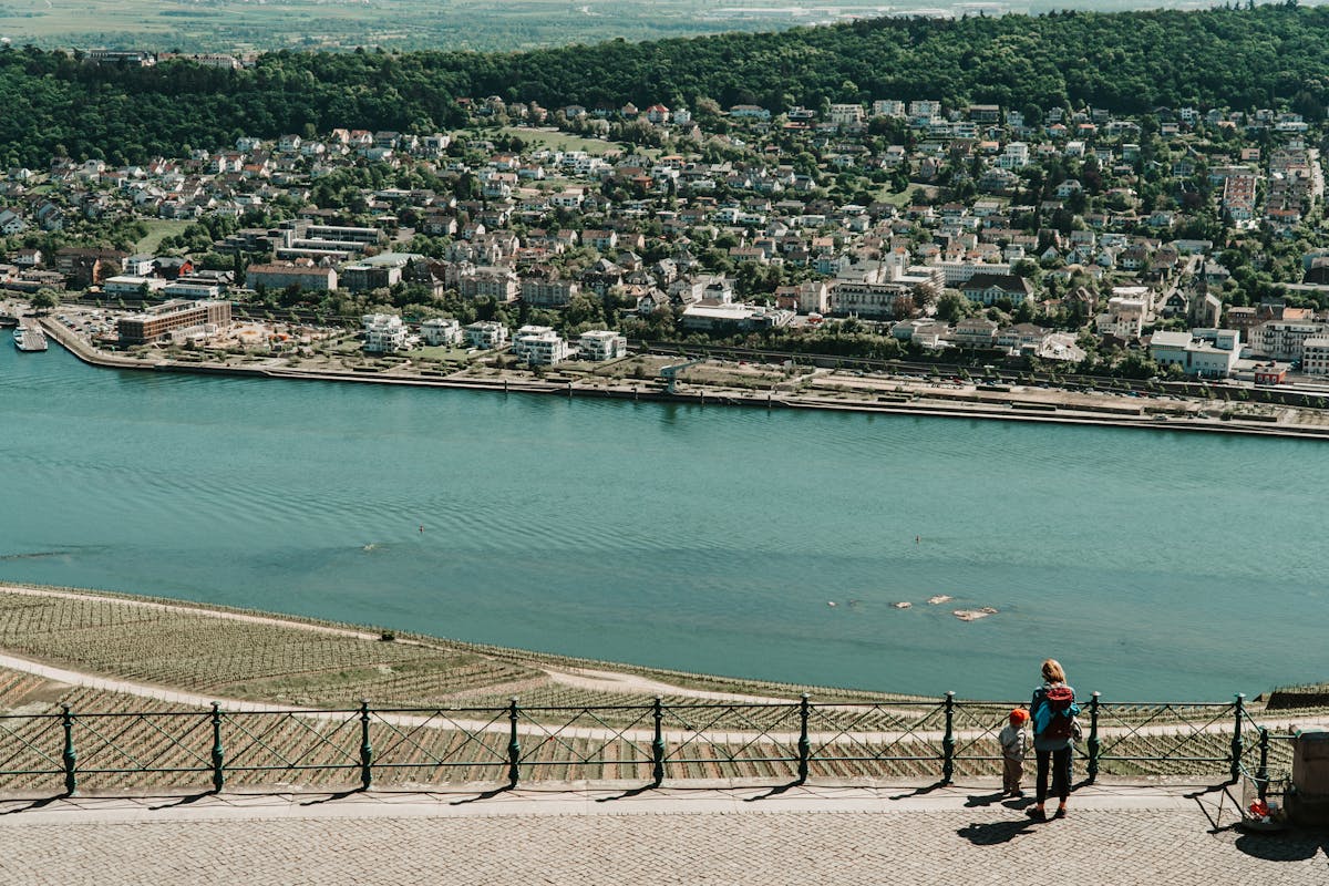 Aerial view of Rhine River town surrounded by vineyards