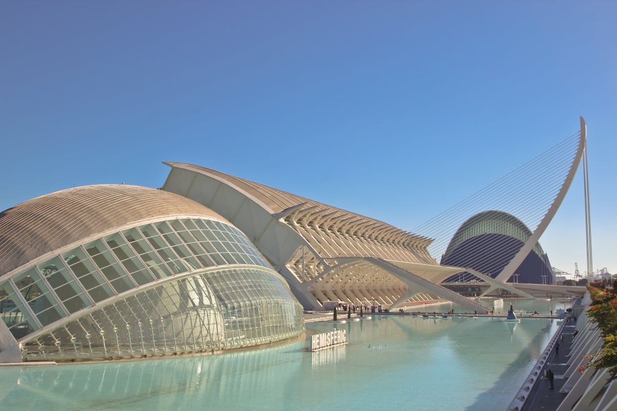 principe felipe science museum valencia exterior