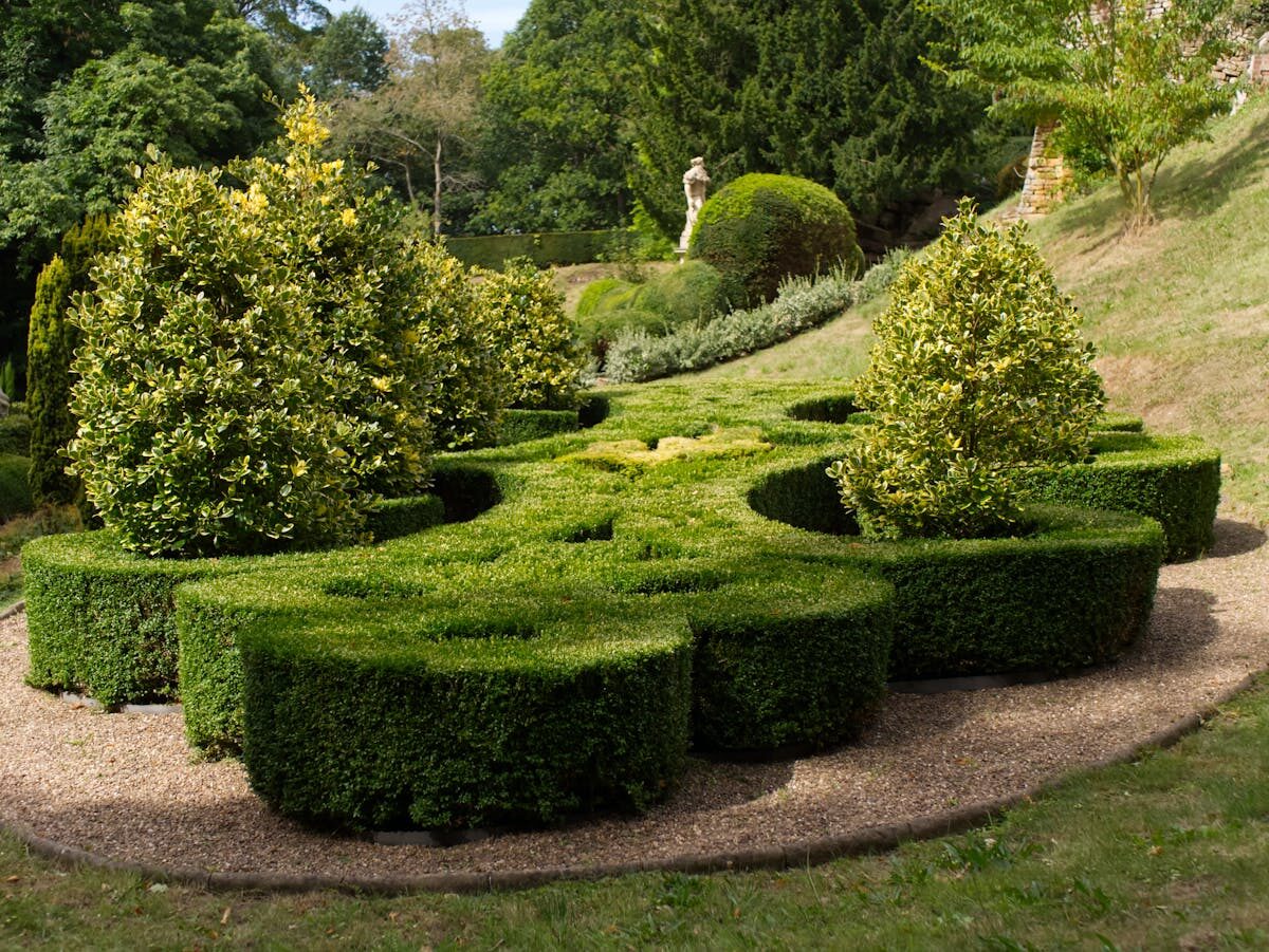 Ornamental topiary garden with carefully sculpted hedges and artistic formations