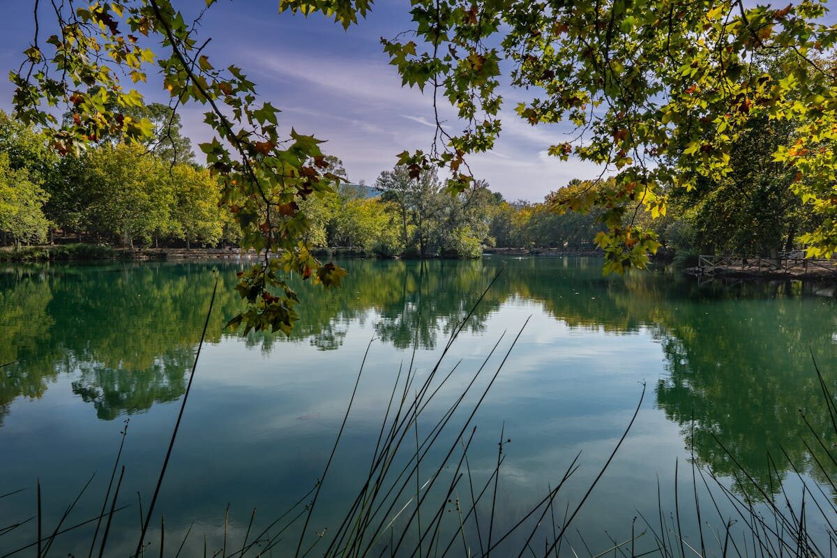 Peaceful lake surrounded by lush green vegetation in the Valencia region