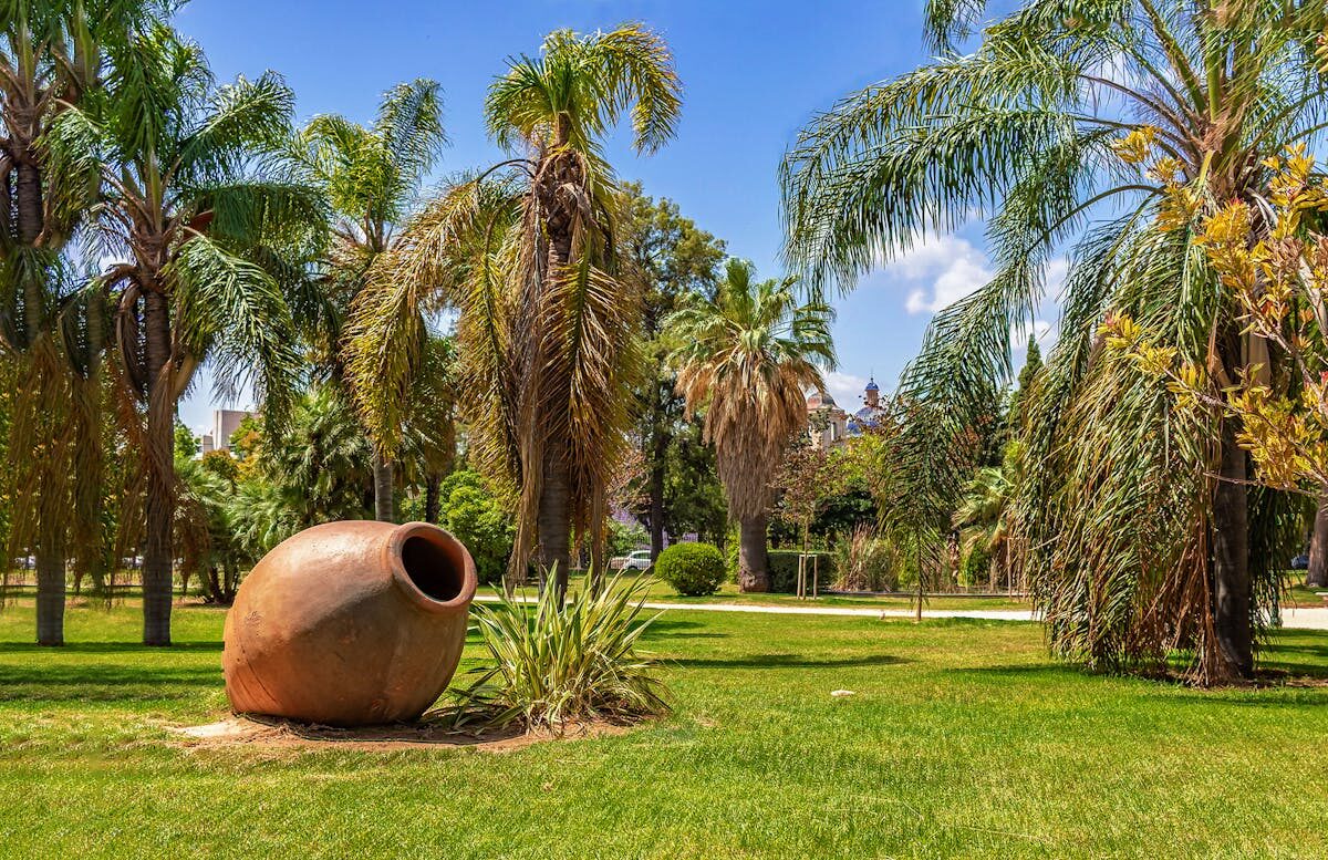 Palm trees and Mediterranean vegetation in a sunny park in Valencia Spain