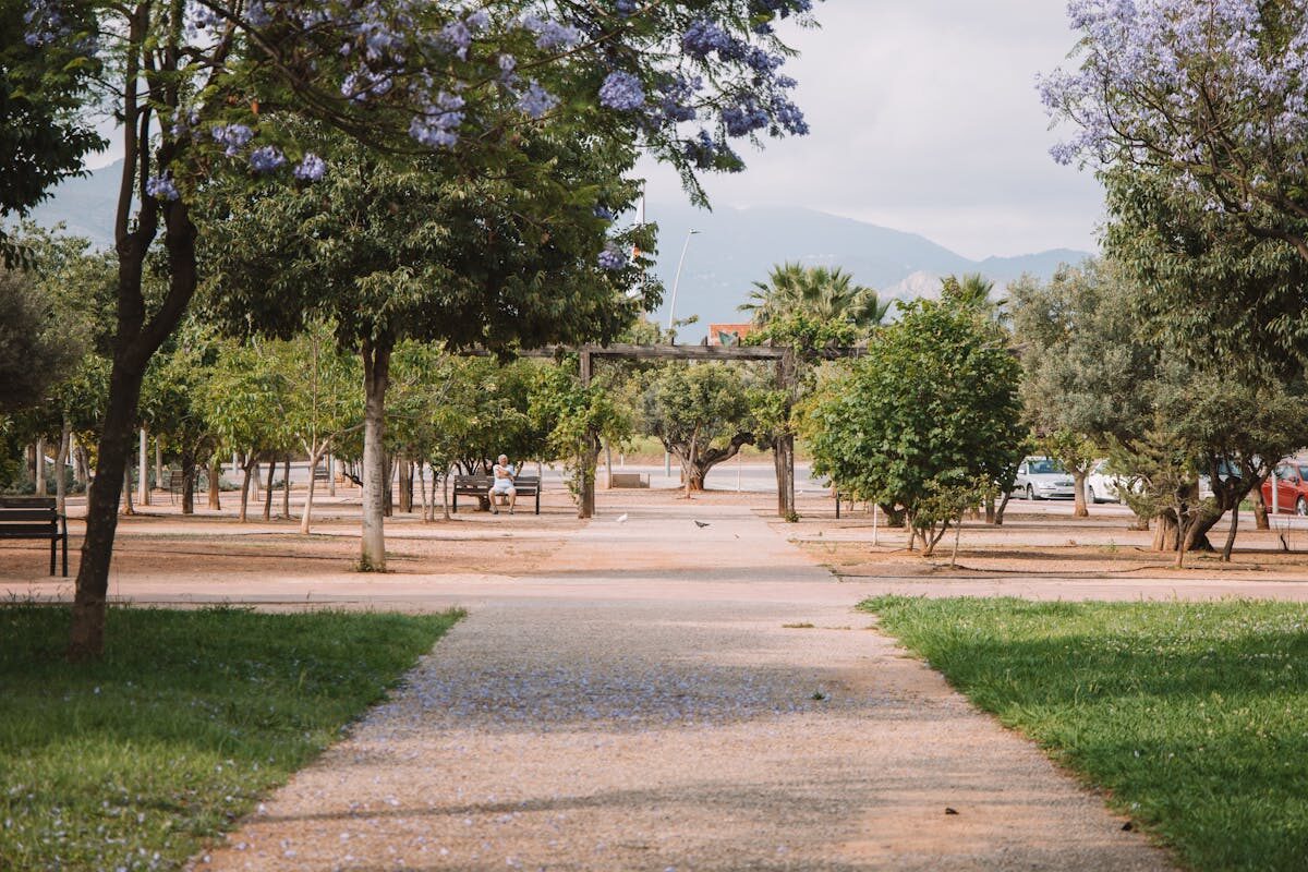 A beautiful dirt path lined with blooming trees in a park in Valencia Spain