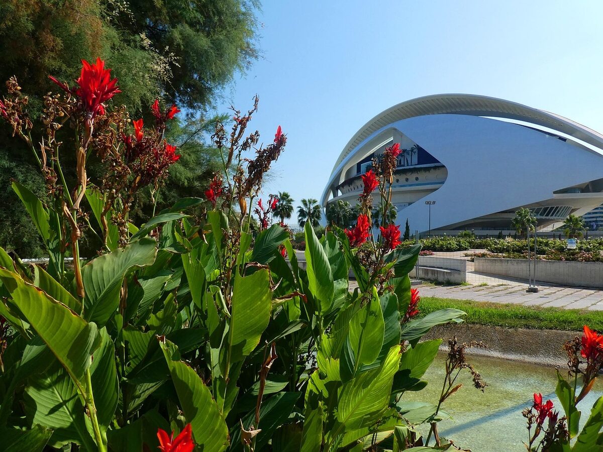 Colorful flowers blooming in Turia Gardens Valencia with parkland in background