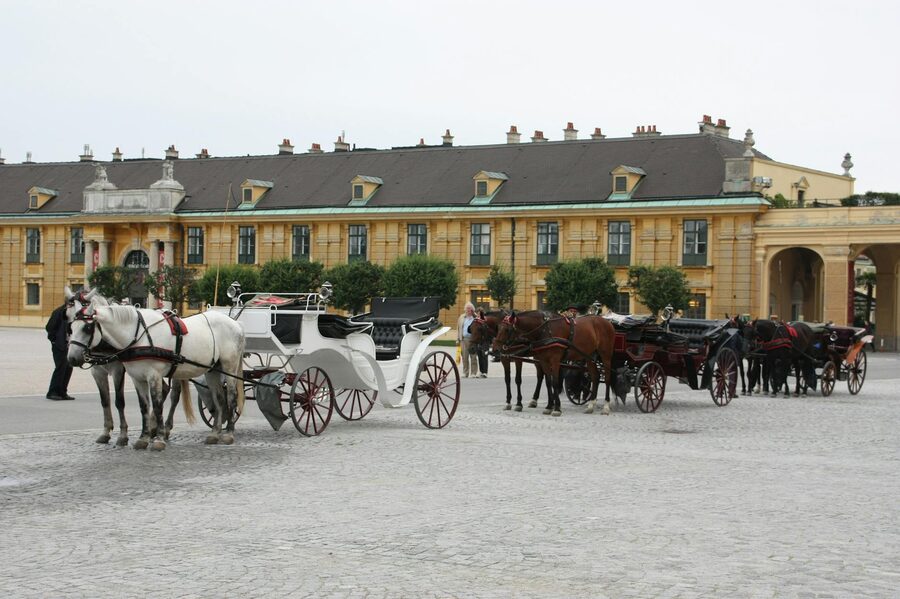 Fiaker carriage Vienna