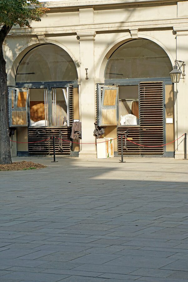 Winter Manege riding