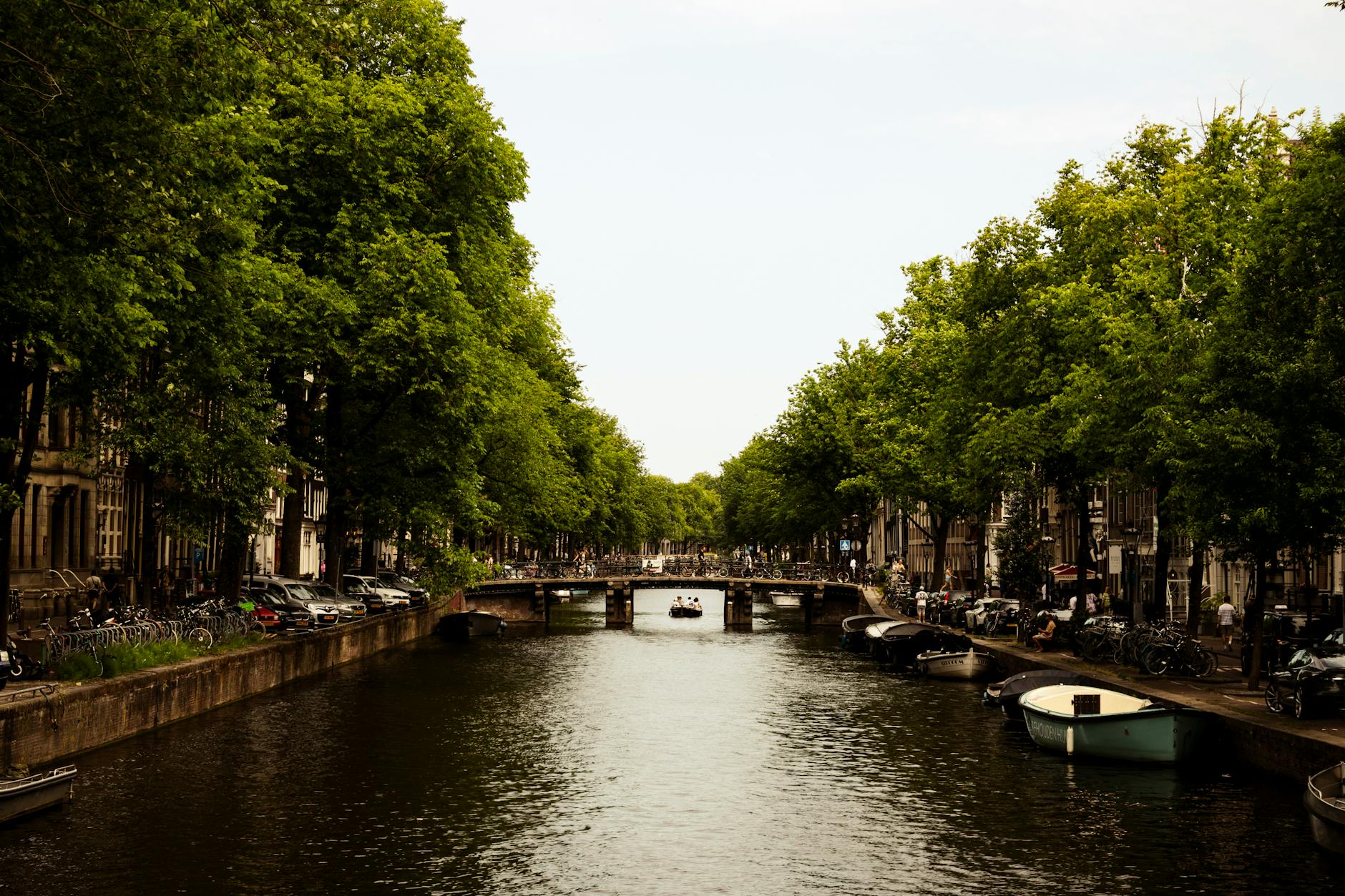 Amsterdam canal with boats and trees lining the waterway