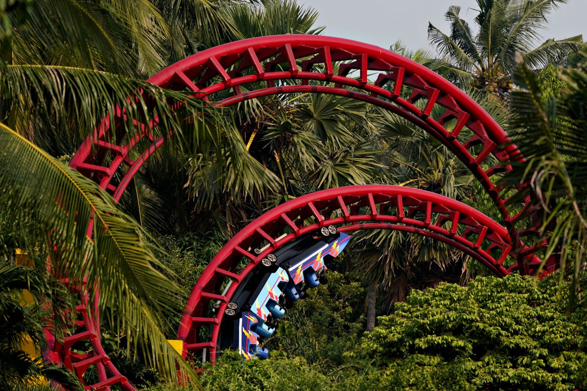Colorful rollercoaster loops through palm trees on a sunny day