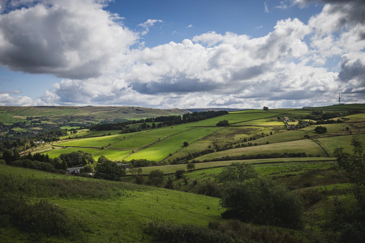 Rolling green hills and sheep pastures in the English countryside on a sunny day